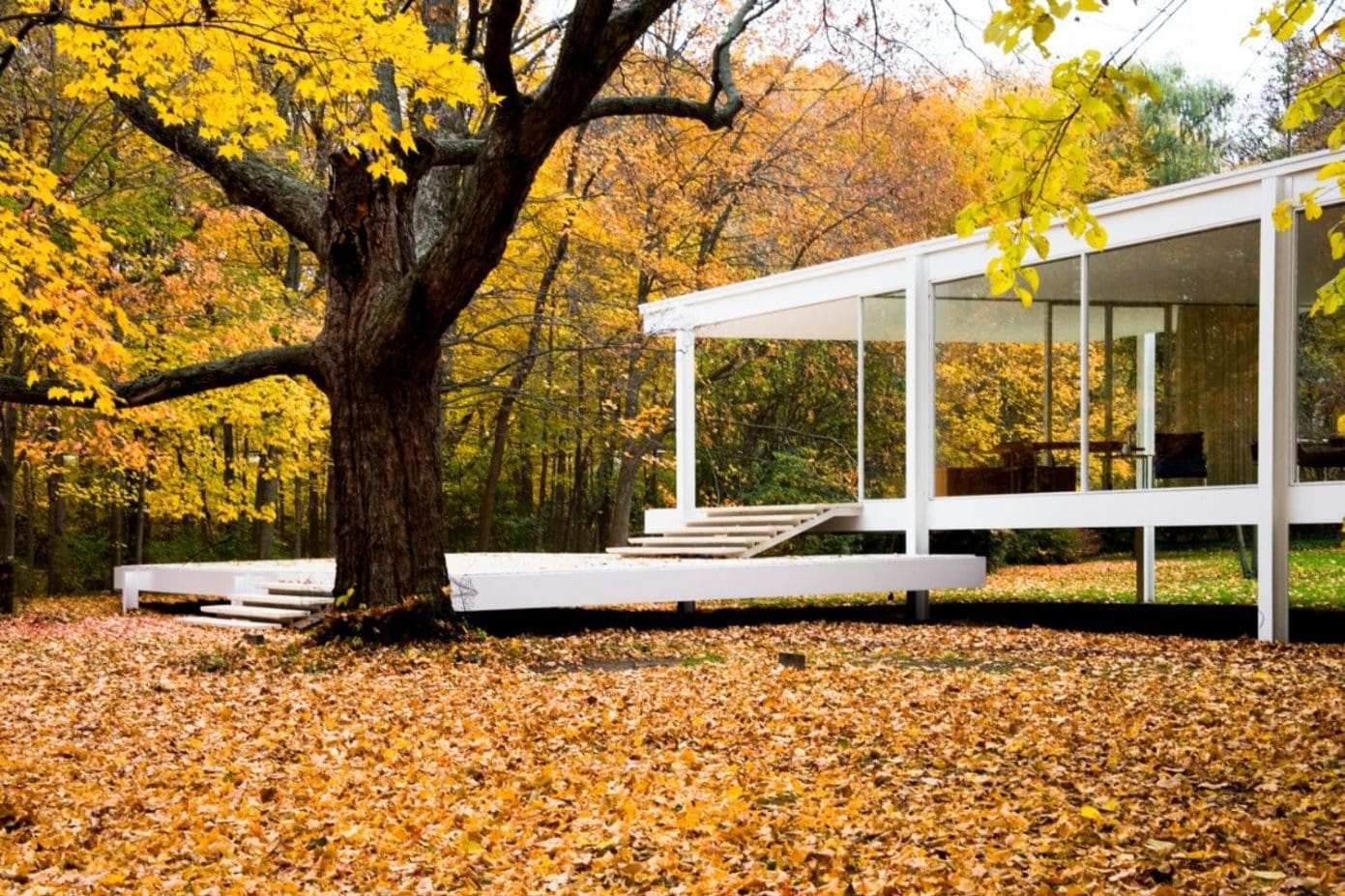 LUDWIG MIES VAN DER ROHE - Dotnuance