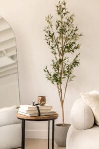 2025 TRENDS - SOFT EDGES, ROUND CORNERS - Dotnuance
