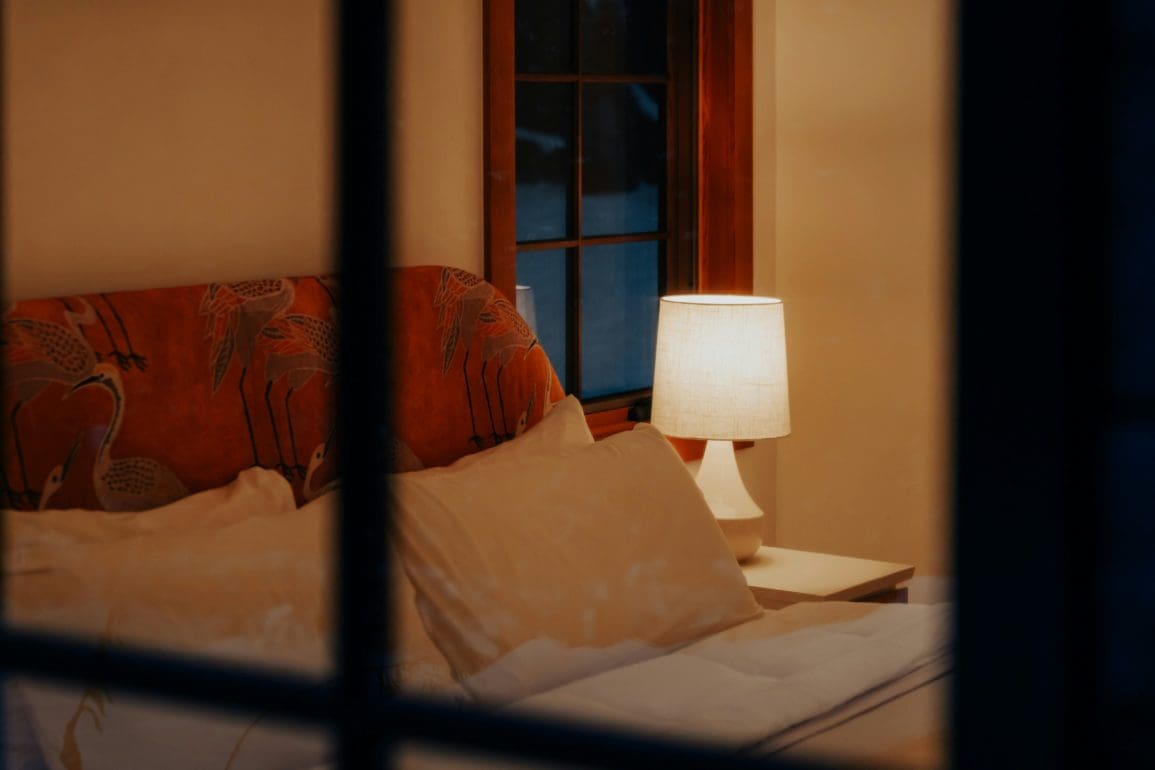 COLOR OF THE YEAR 2025 - FUTURE DUSK - Dotnuance